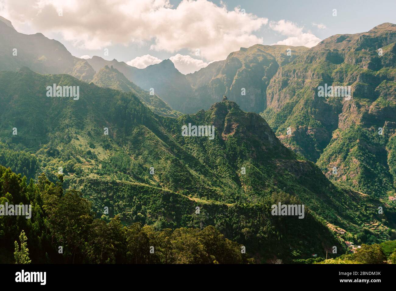 Sunny weather madeira hi-res stock photography and images - Alamy