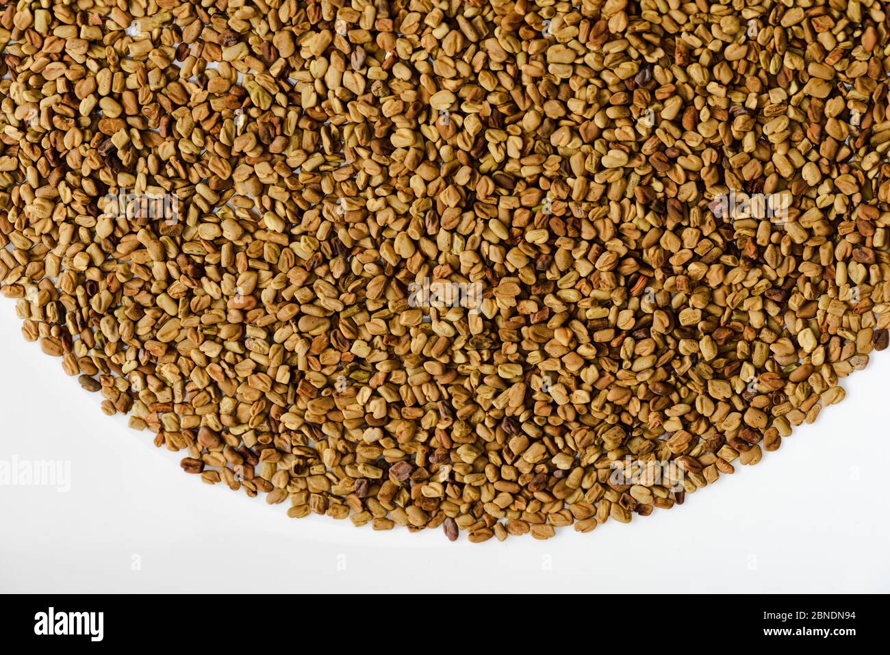 close up view of natural fenugreek on white background Stock Photo - Alamy