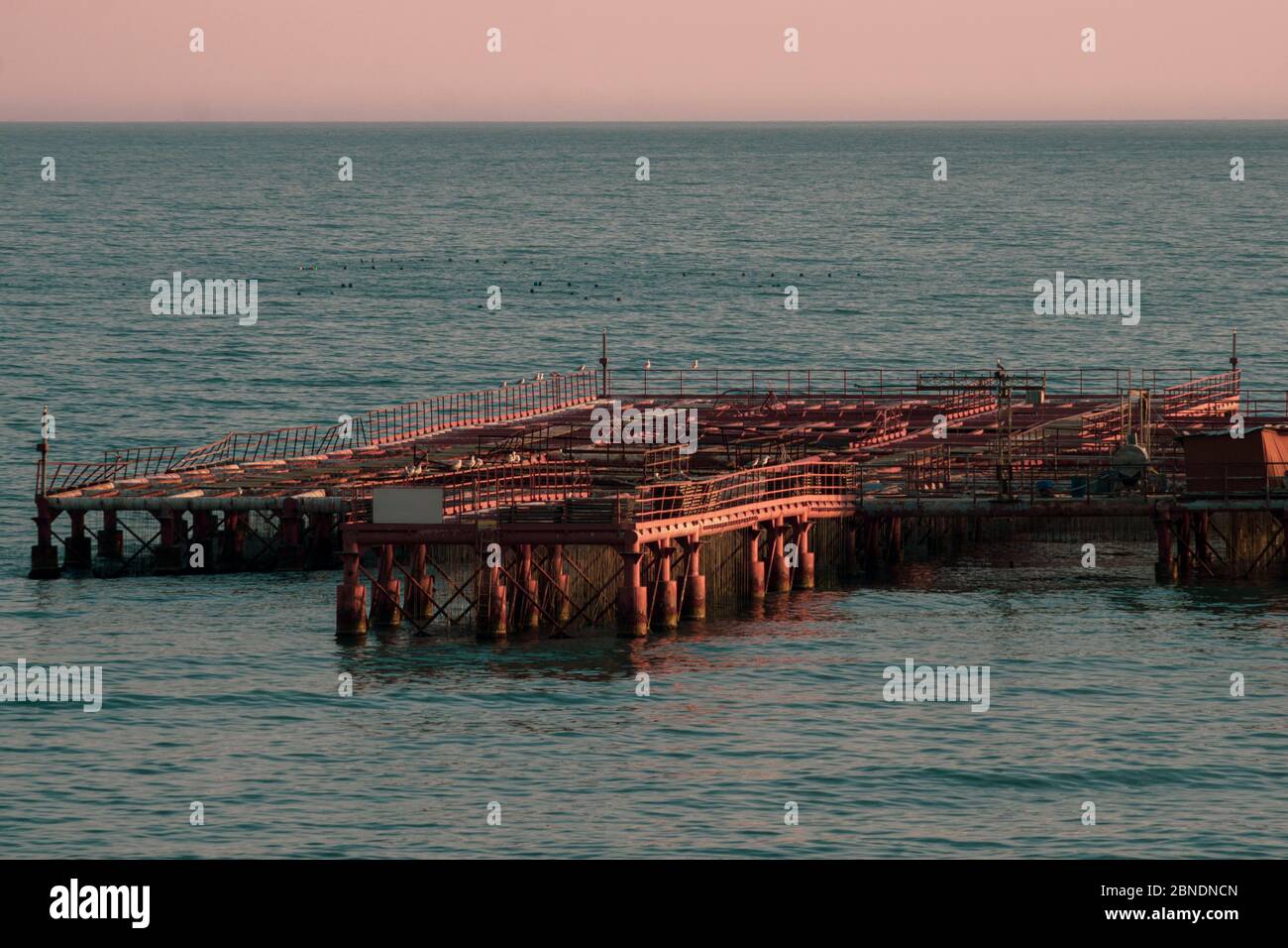 Oyster farm cages hi-res stock photography and images - Alamy