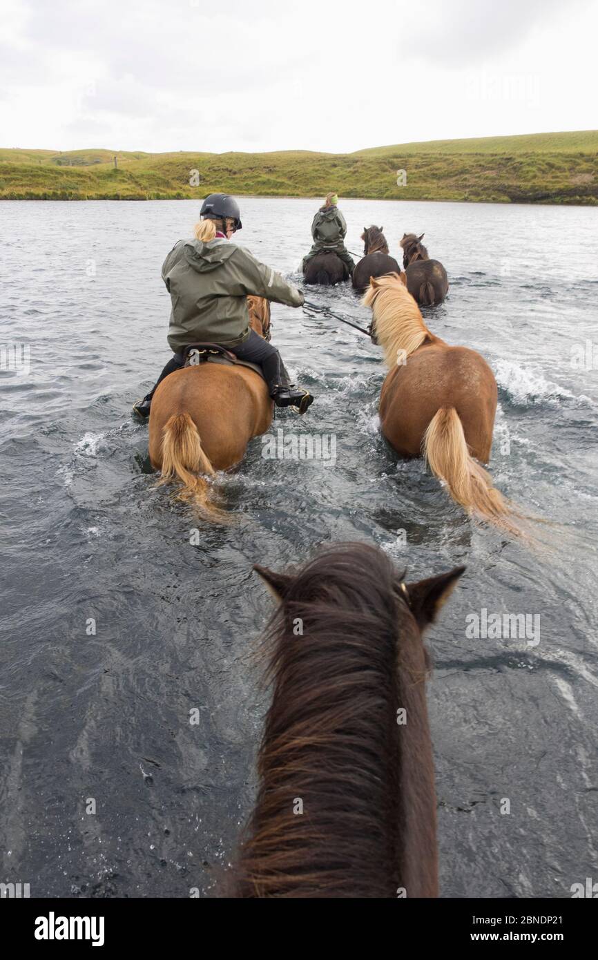 Pov horse hi-res stock photography and images - Alamy