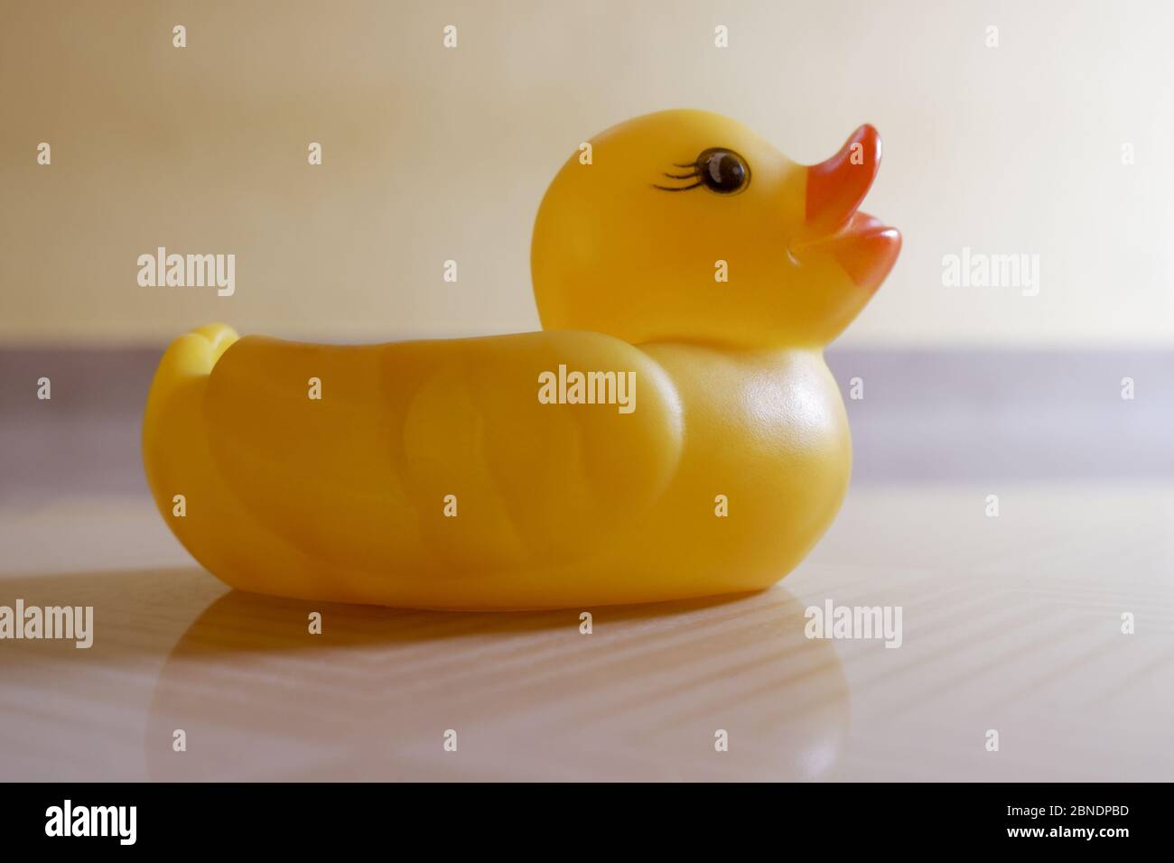 Baby rubber ducky hi-res stock photography and images - Alamy