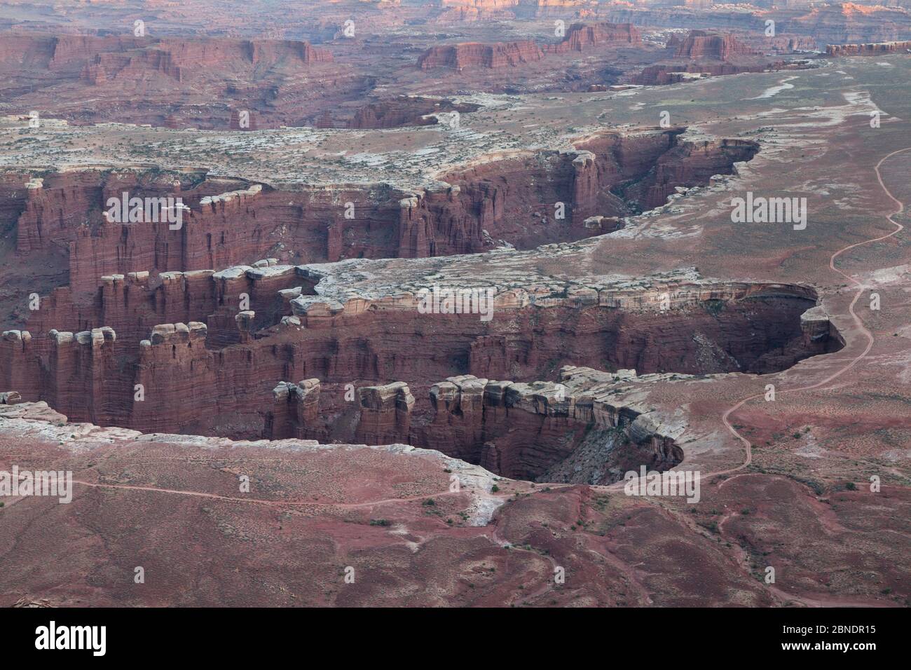 White Rim at dusk, Island in the Sky, Canyonlands National Park, Utah ...