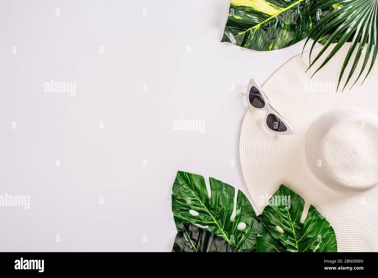 Top view of sunglasses and sun hat near green leaves of tropical plants ...