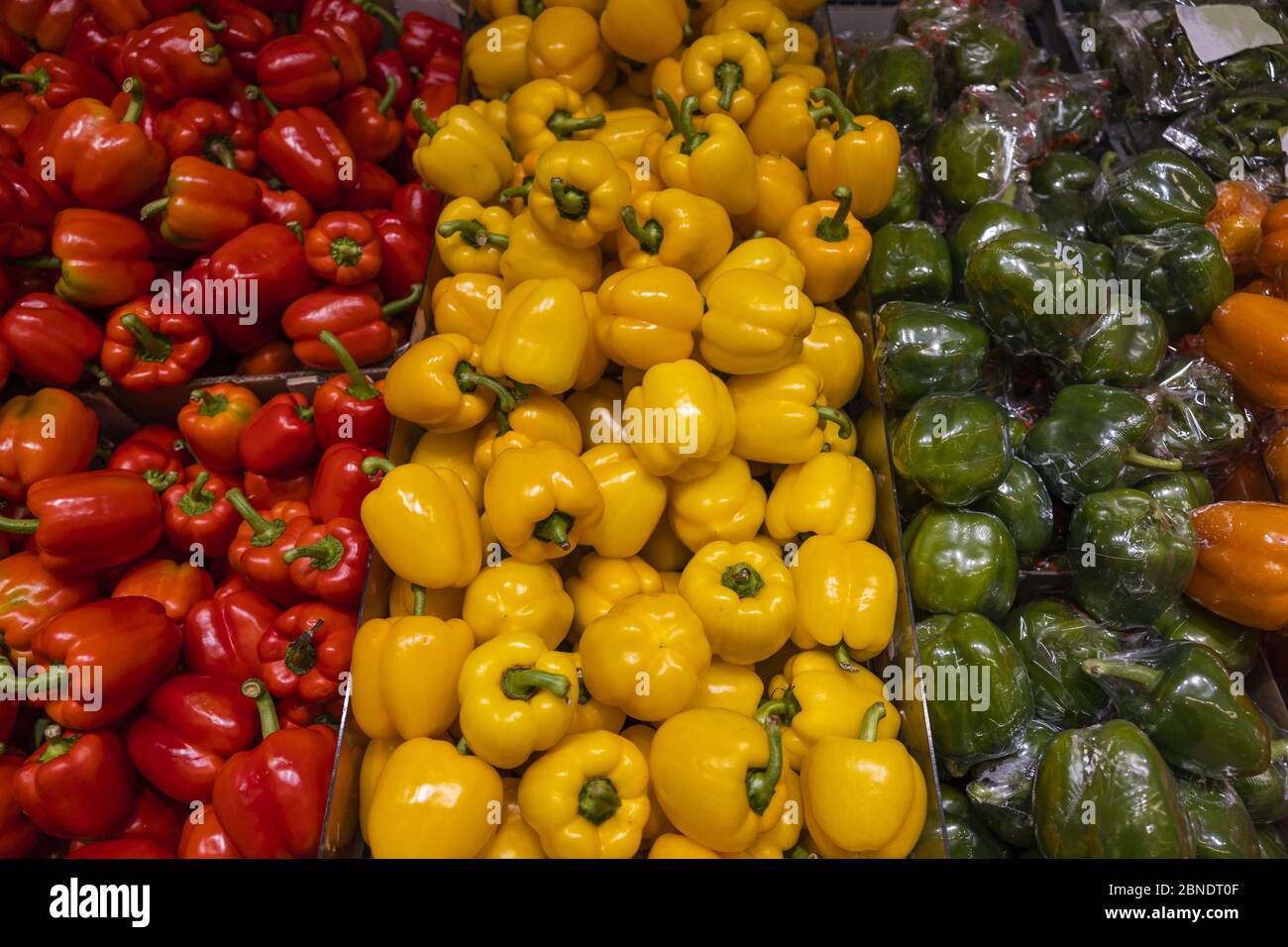 Close up macro view of green red yellow paprika. Healthy food concept ...