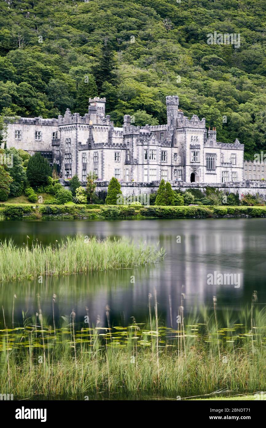Vertical shot of Kylemore Abbey in Ireland surrounded by greenery and a ...