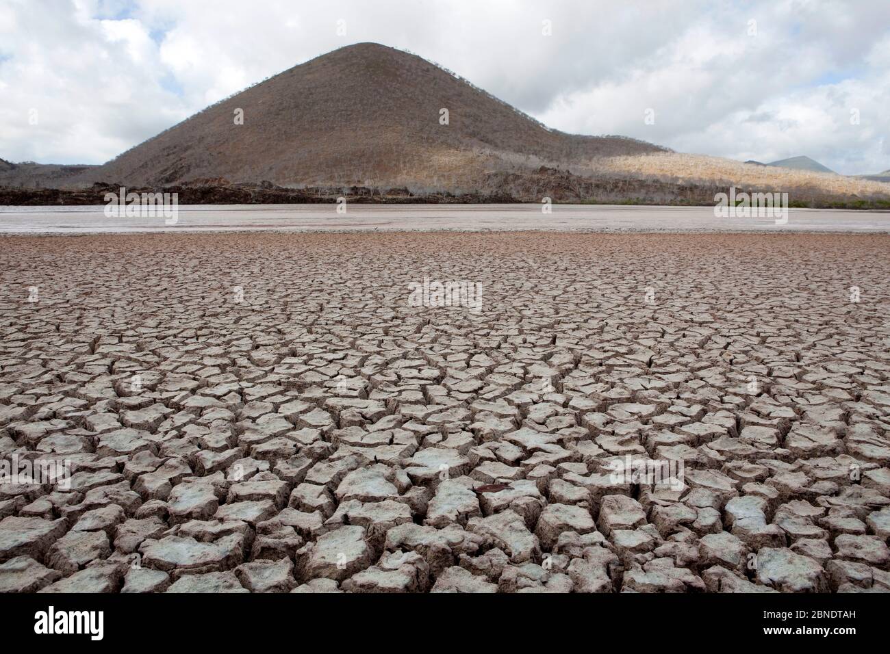 Dry lagoon, Cormorant Point, Floreana Island, Galapagos Islands, East ...
