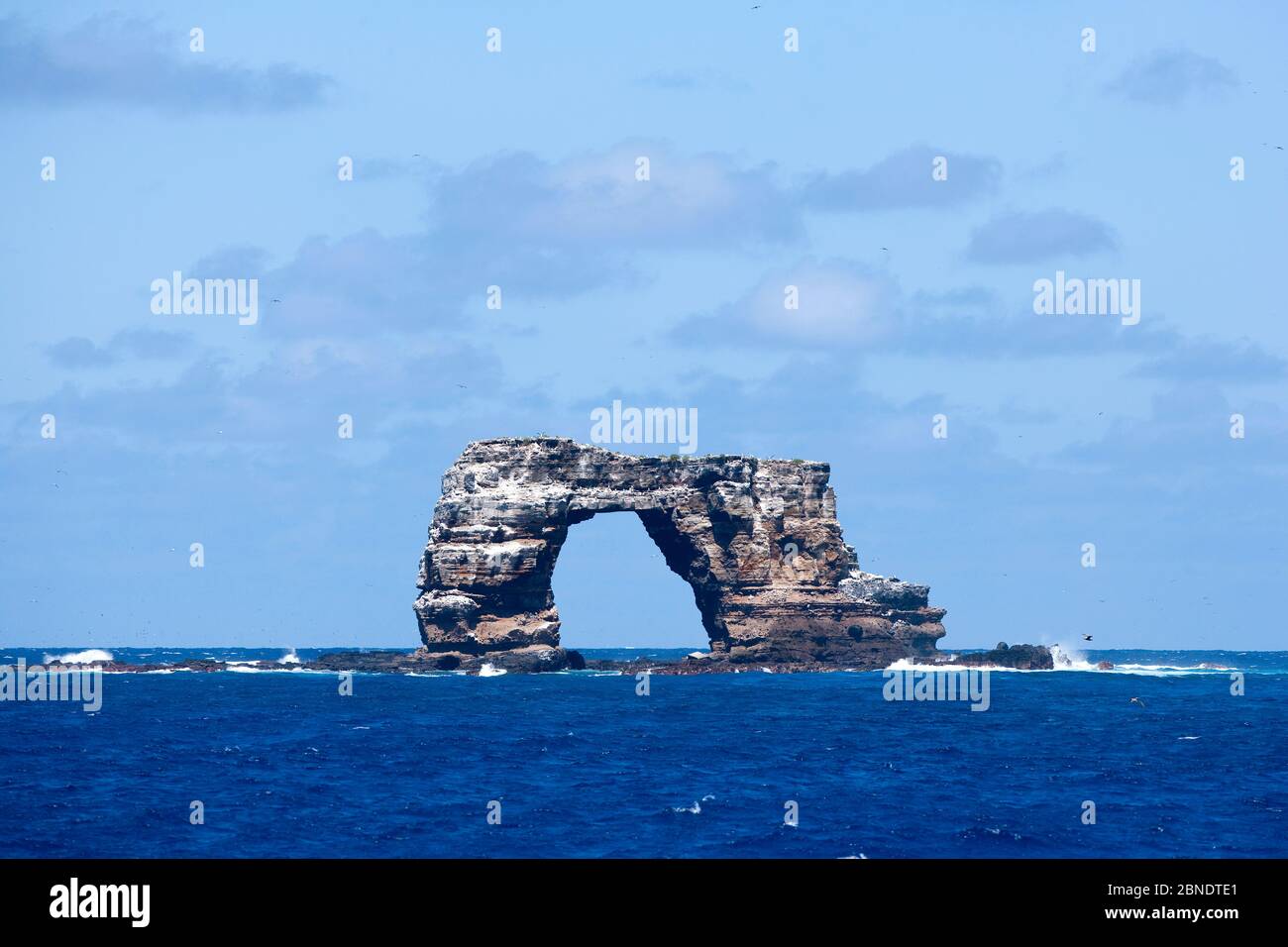 Darwin's Arch, a dramatic 50-foot tall natural lava arch, offshore of ...