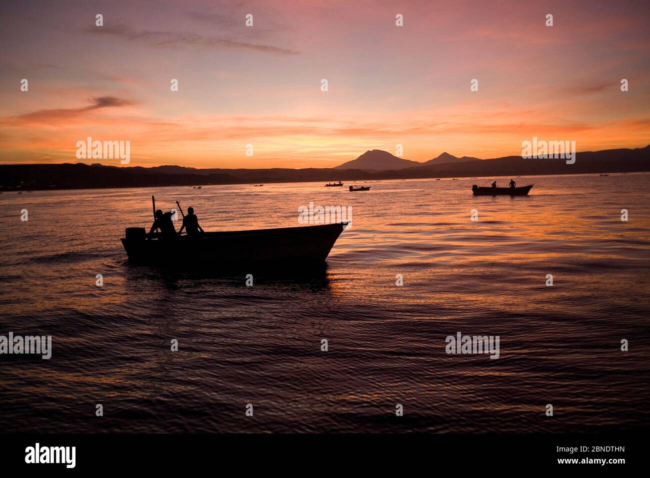 Mexican fisherman boat at dusk, fishing Humboldt squid (Dosidicus gigas ...