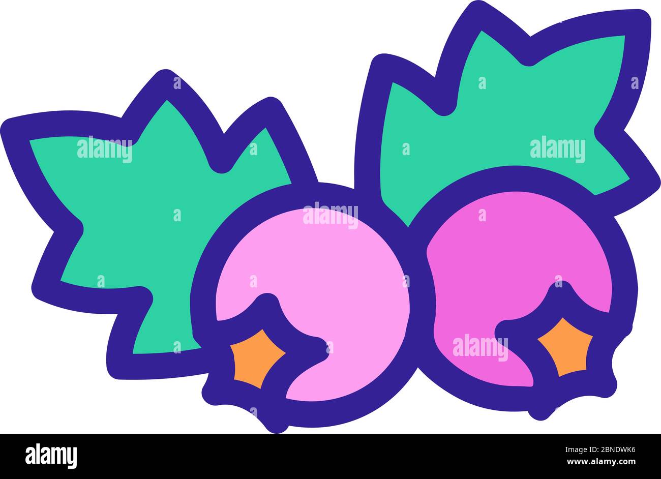 organic hawthorn berries icon vector outline illustration Stock Vector ...