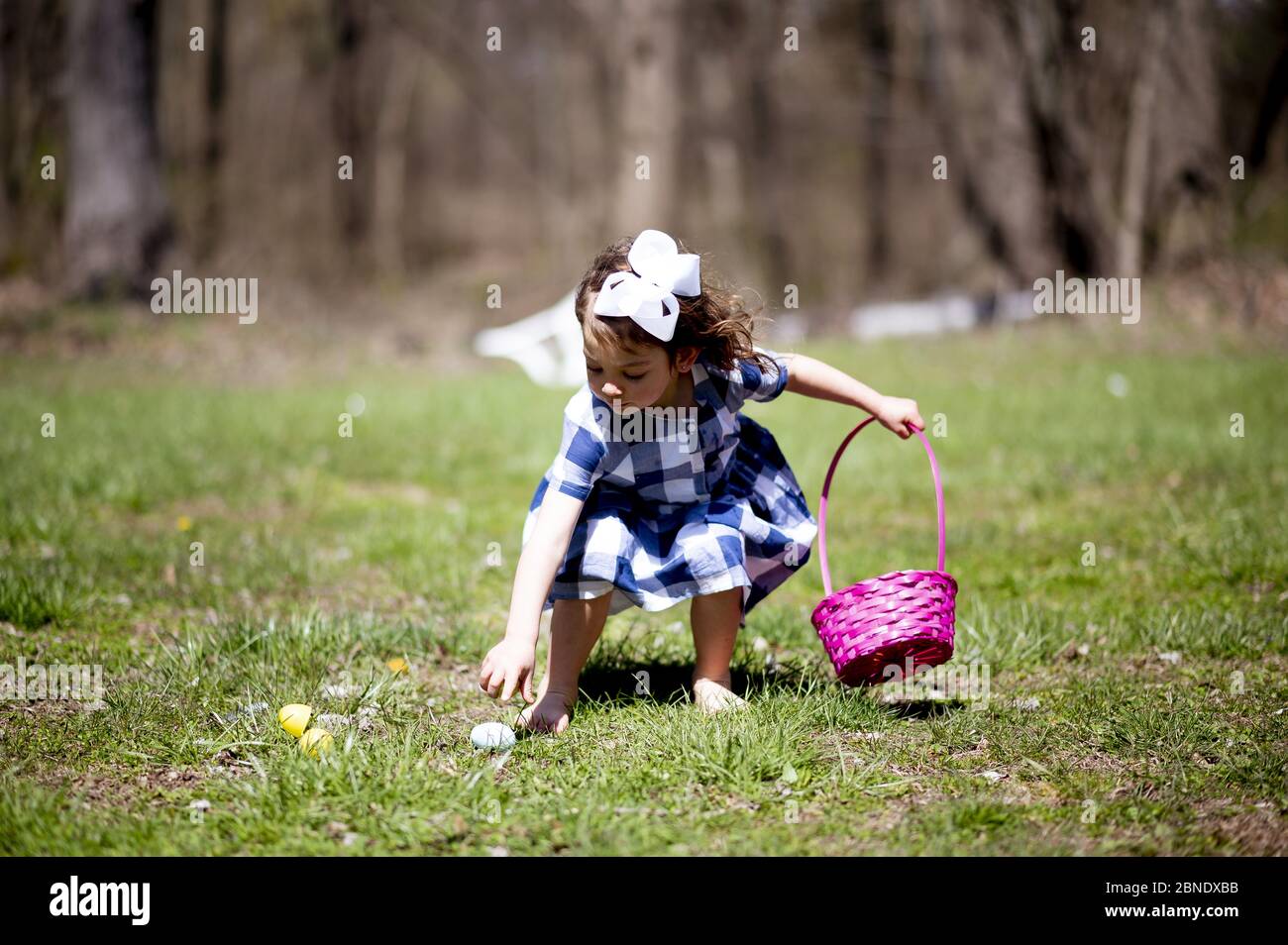 Cute girl collecting the colorful easter eggs from the ground with a ...