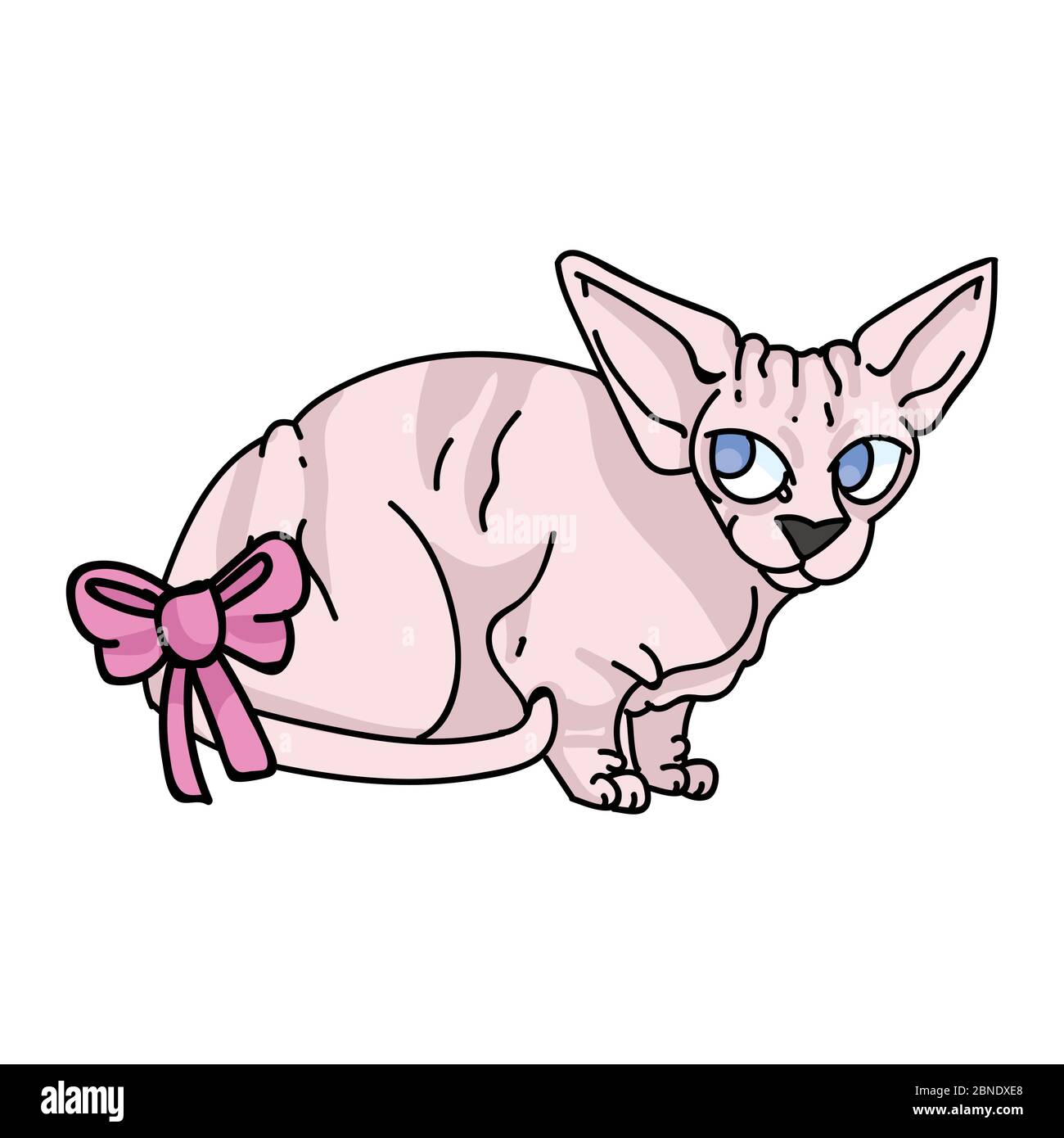 Sphynx Cat Illustration