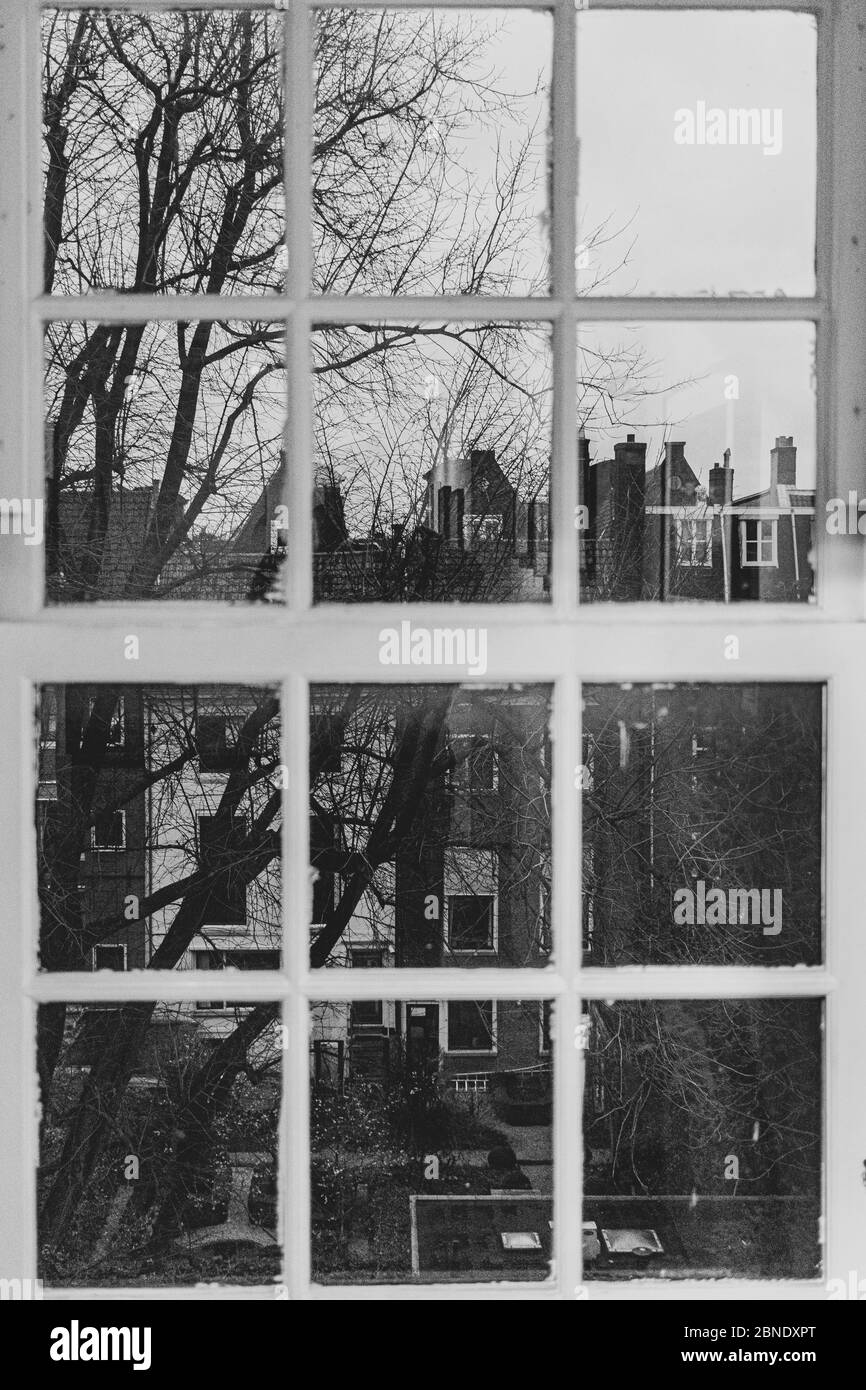 Vertical photo of buildings and trees through a window drill in black ...