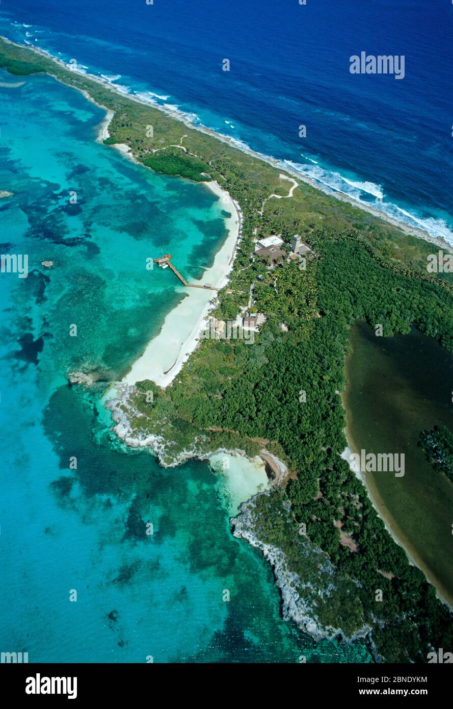 Mesoamerican reef cancun hi-res stock photography and images - Alamy