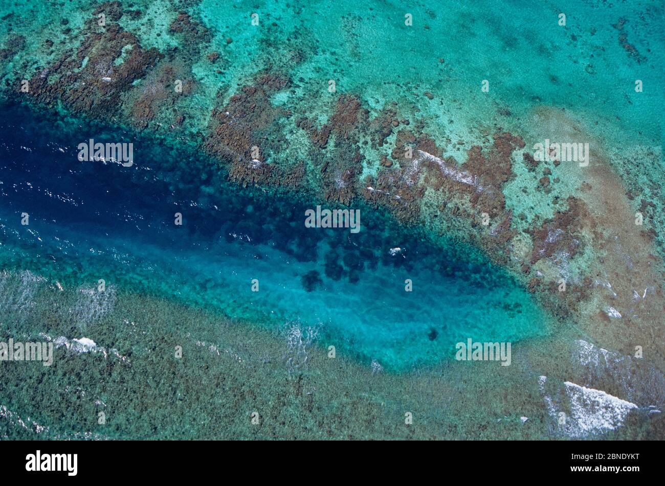 Mesoamerican reef system hi-res stock photography and images - Alamy