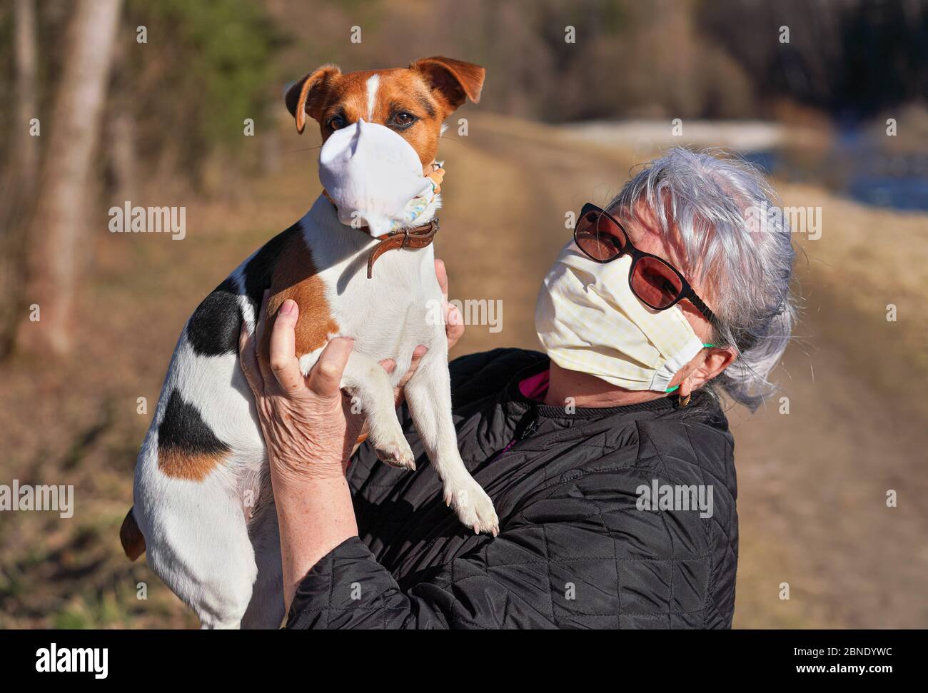 Elderly hands dog hi-res stock photography and images - Alamy
