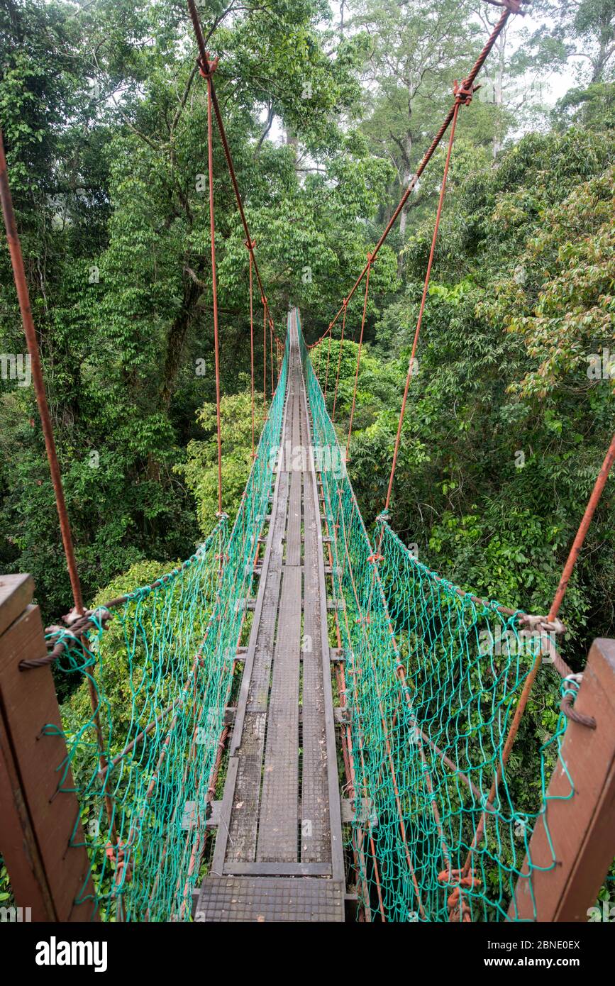 Canopy walkways hi-res stock photography and images - Alamy