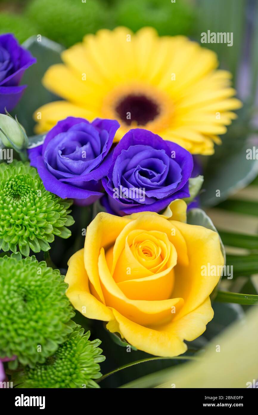 Bouquet of English Roses Stock Photo - Alamy