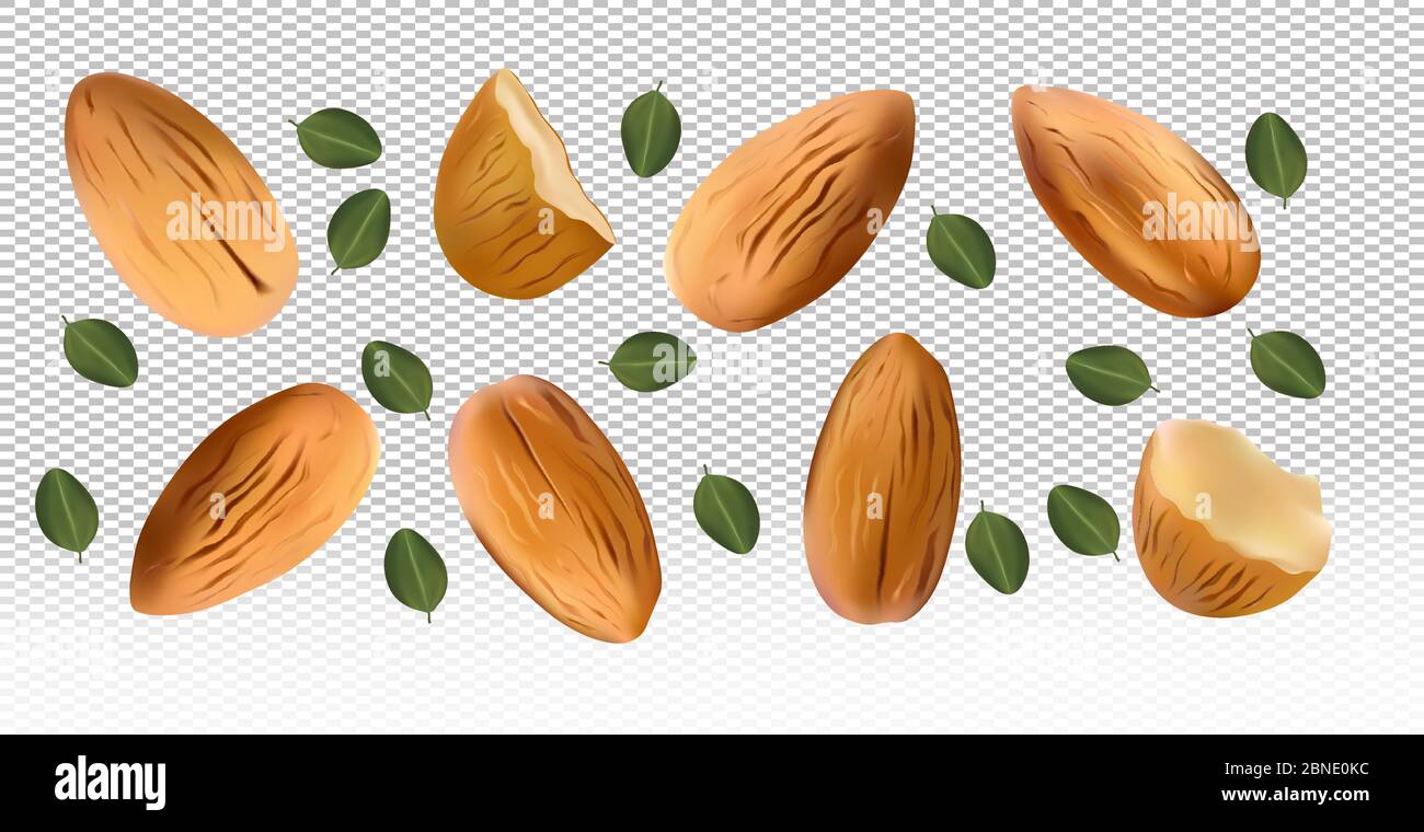 Almonds nuts with green leaf on transparent background. Almond flying ...