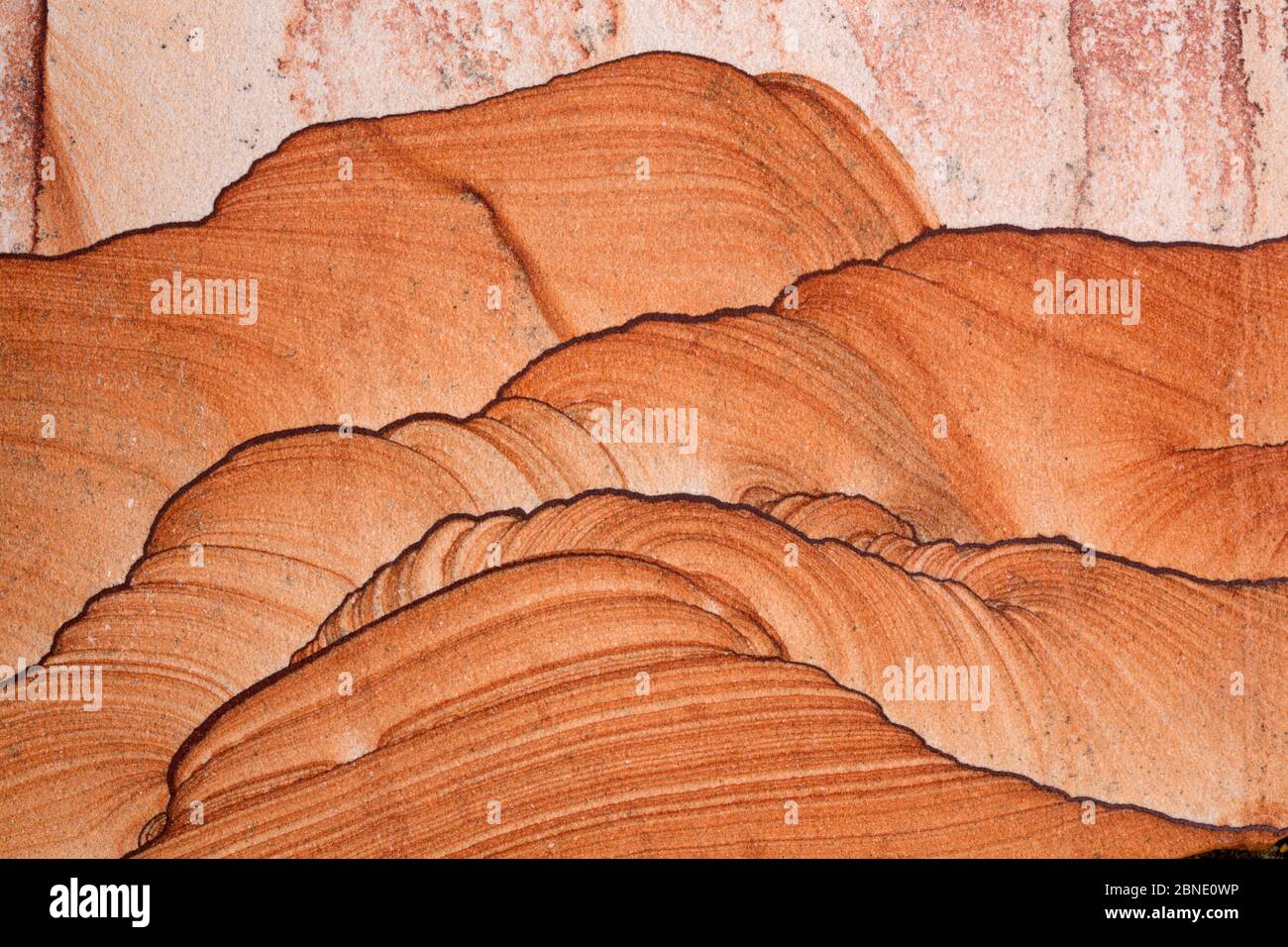 Picture sandstone, part of the Shinarump Formation, from 180 million to ...