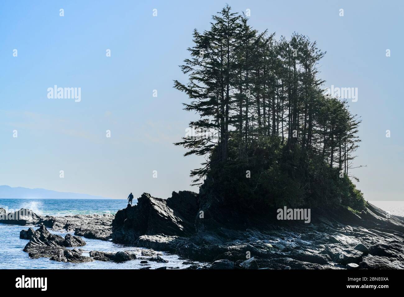 Botanical beach provincial park hi-res stock photography and images - Alamy