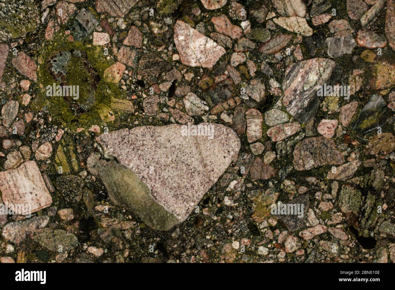 Rock conglomerate cross section hi-res stock photography and images - Alamy