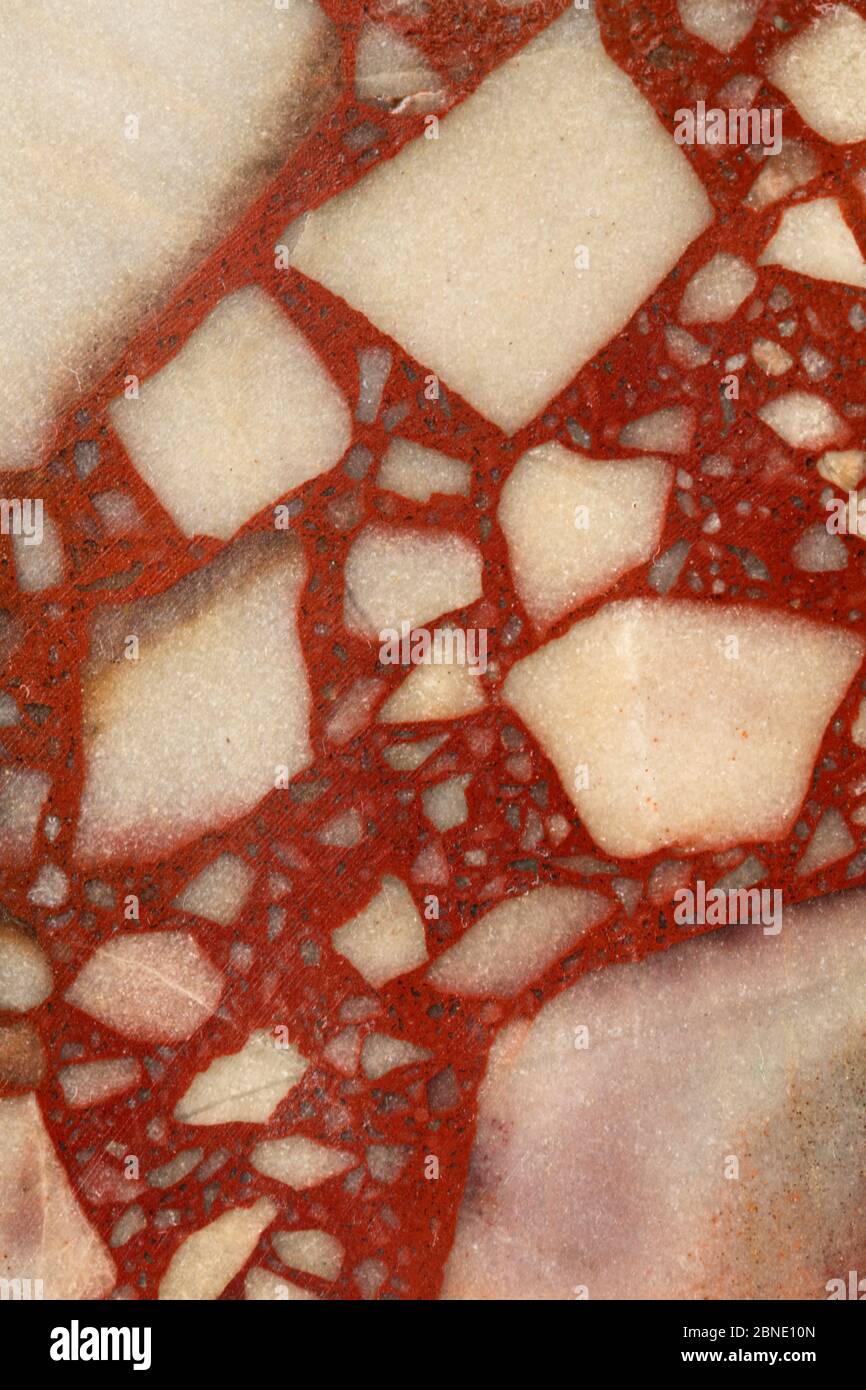 Close up of a polished cross section of Breccia, sedimentary rock with ...