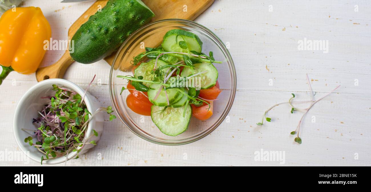 Sprouts of vegetables sprouted from the seeds of plants. Microgreen ...