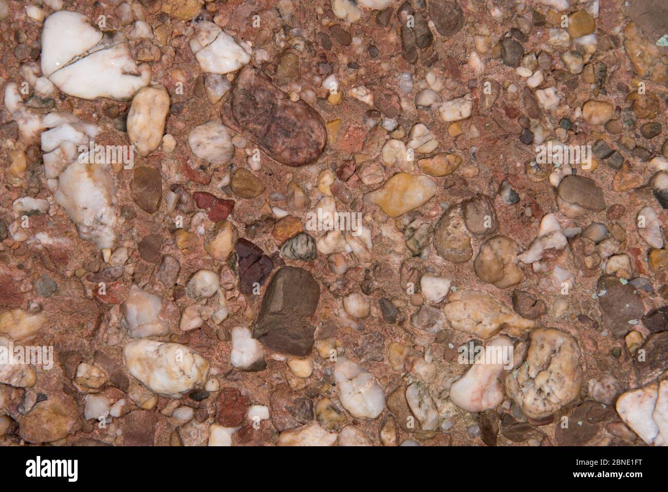 Quartz Conglomerate with Jasper, Huntsham Hill, Wye Valley Gorge ...