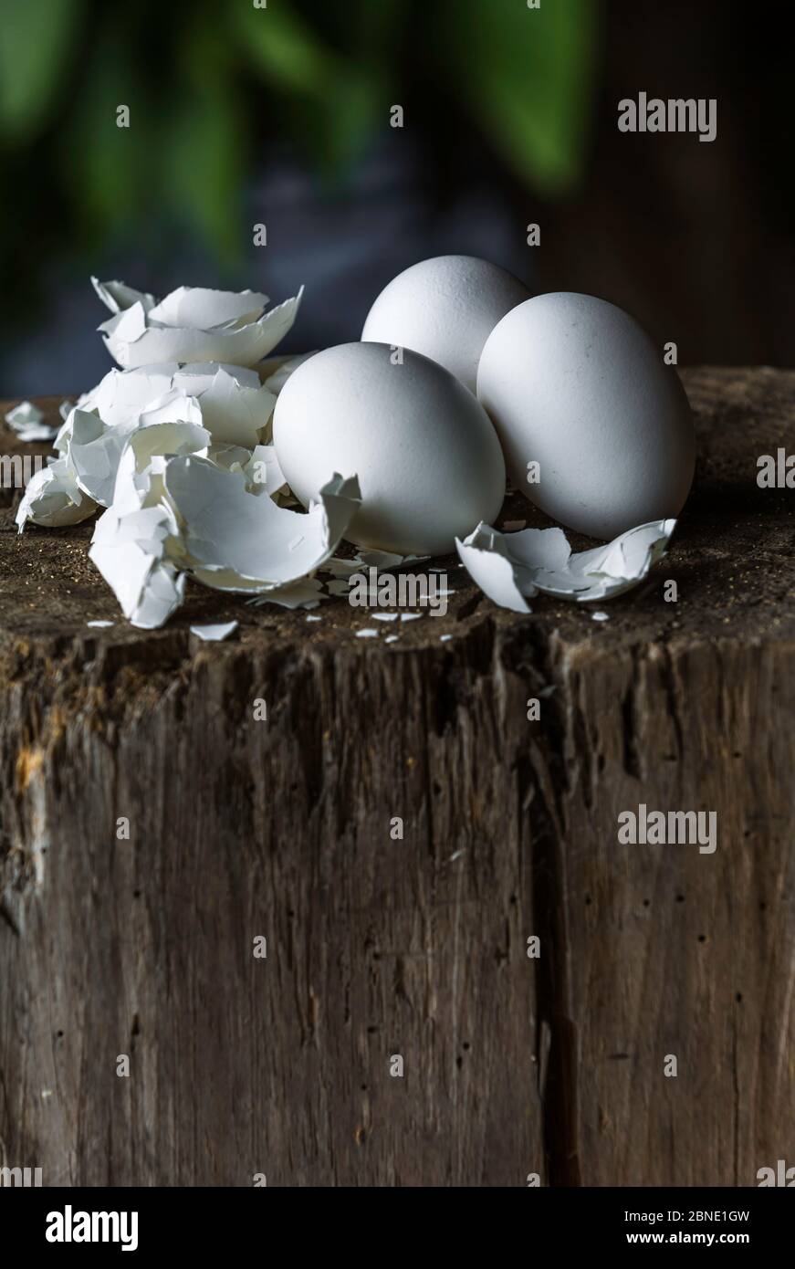 dramatic image of white eggs with brocken cracked egg shells and salt ...