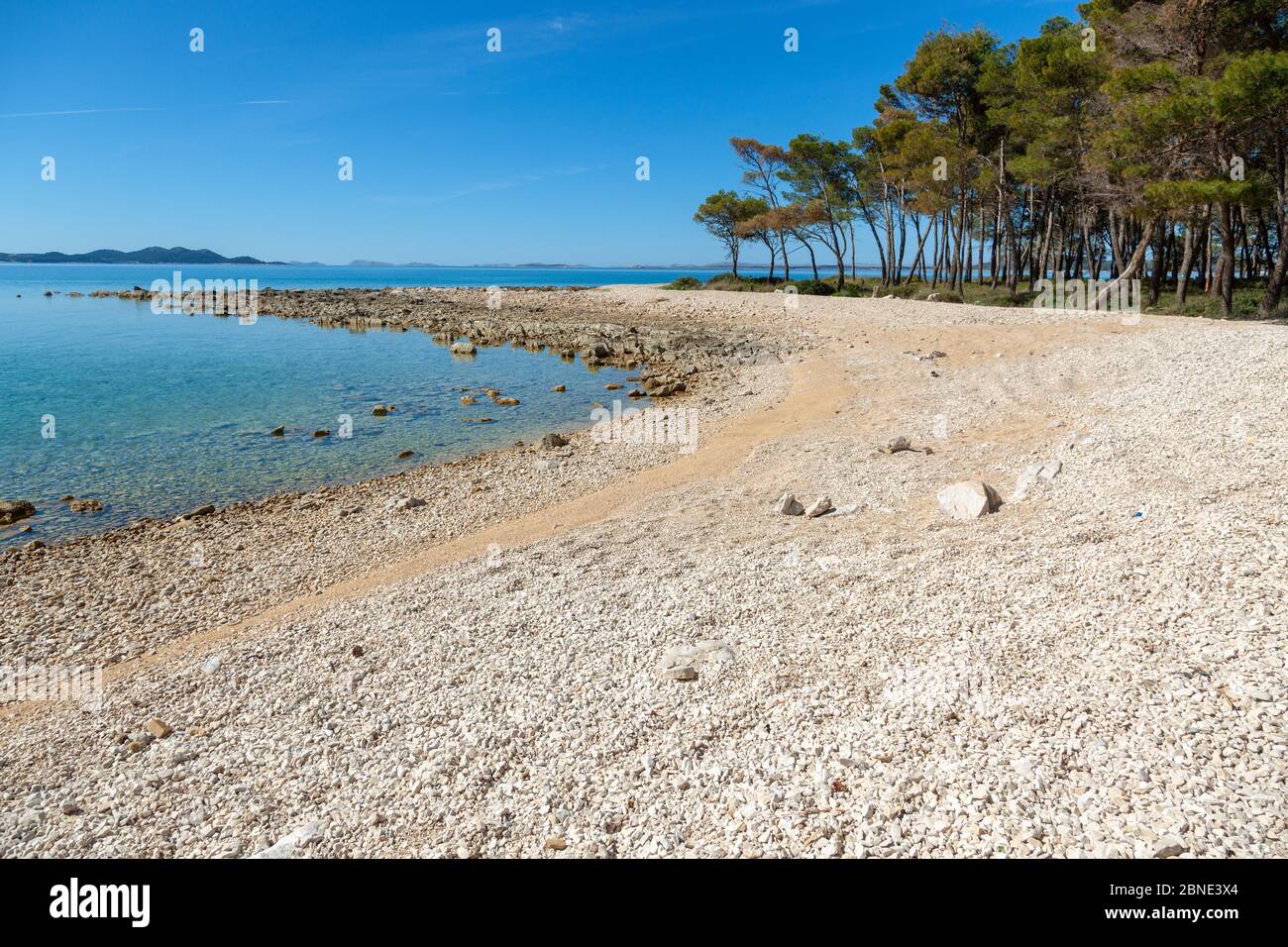 The pebble beach with a pine forest near Pakostane in Dalmacija Stock ...