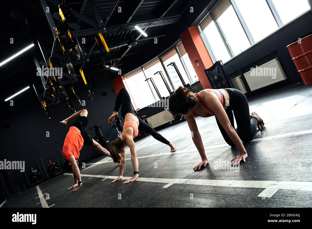 Animal Flow Class. Young people doing scorpion exercise woman looking ...