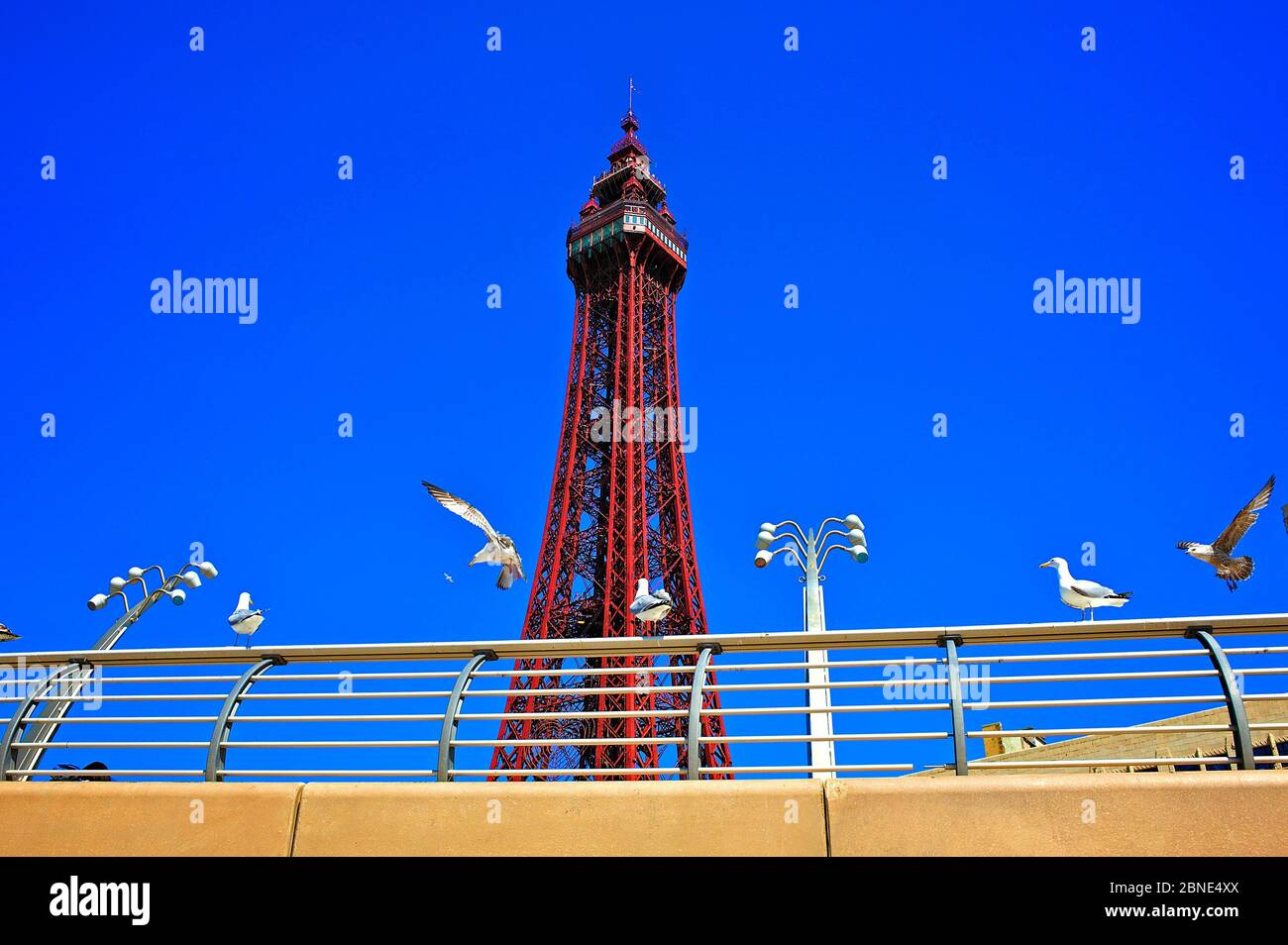 Seawall railing hi-res stock photography and images - Alamy