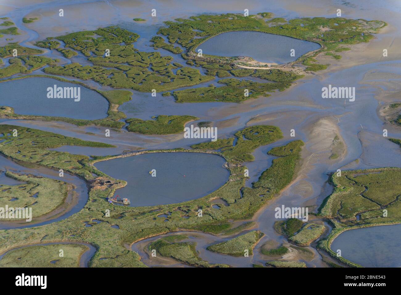 Aerial view of L'ile Aux Oiseaux, Arcachon Bay, Aquitaine, France, June ...
