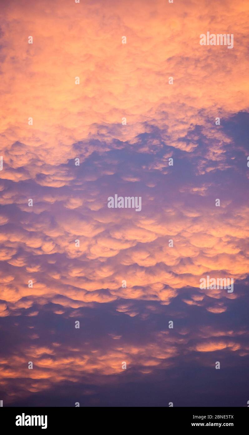 Angust hi-res stock photography and images - Alamy