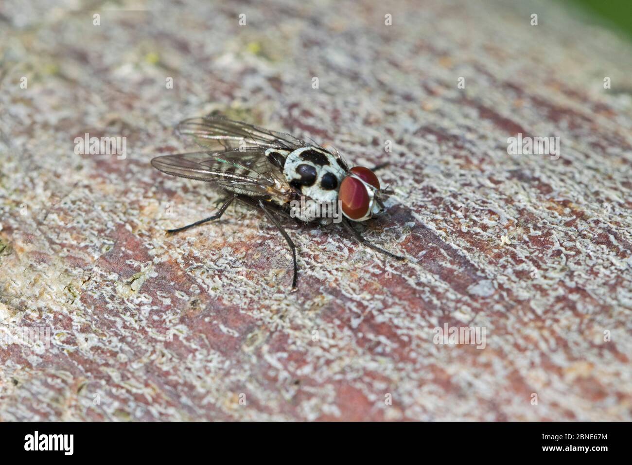 Ecology park hi-res stock photography and images - Alamy