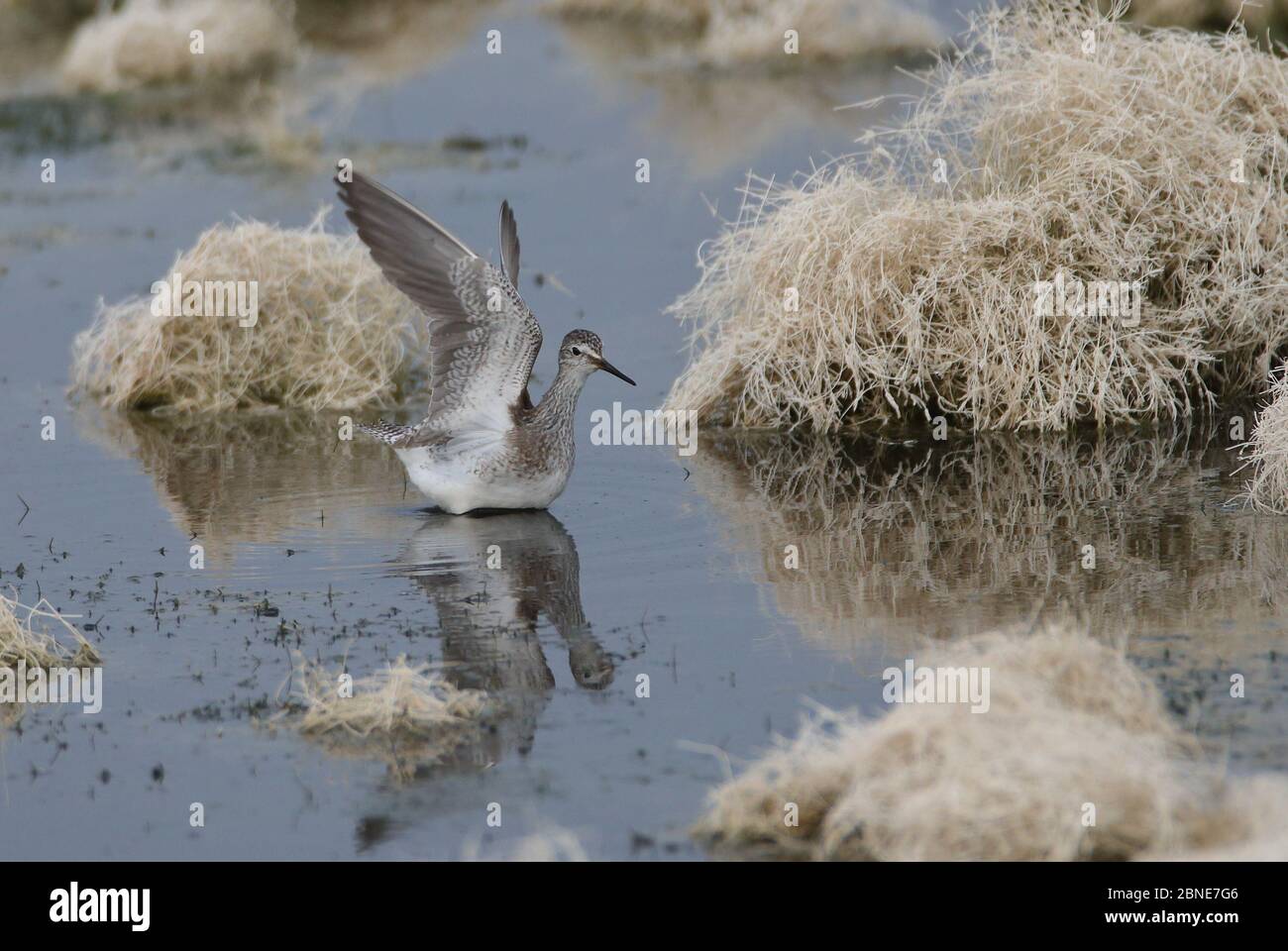 Cheddar reservoir hi-res stock photography and images - Alamy