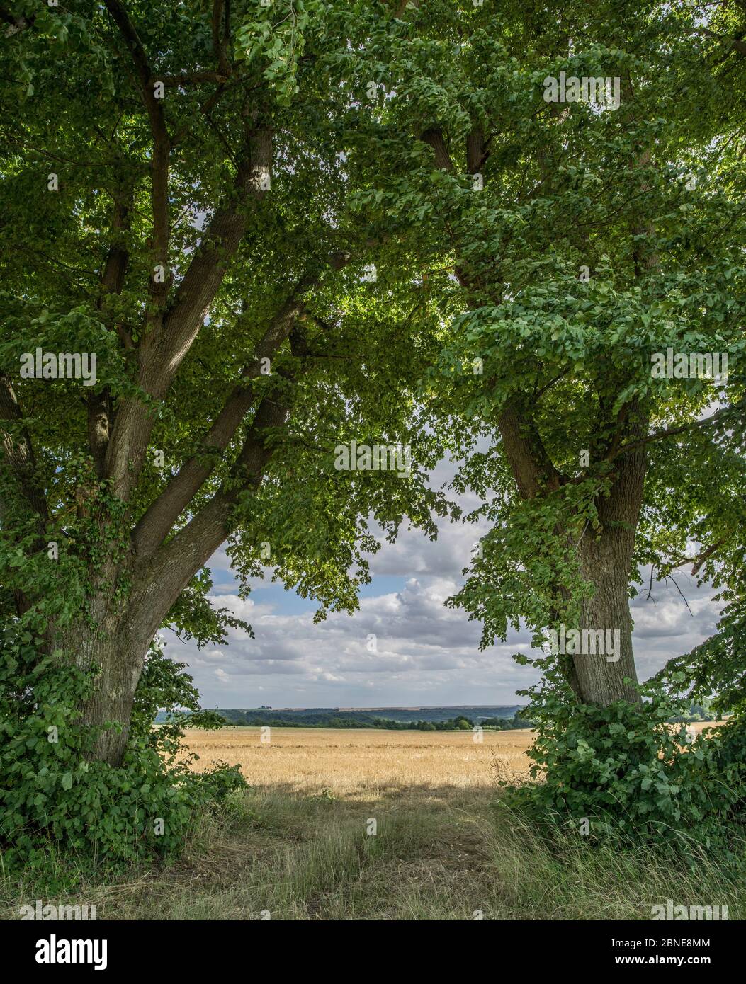 Chamouille hi-res stock photography and images - Alamy