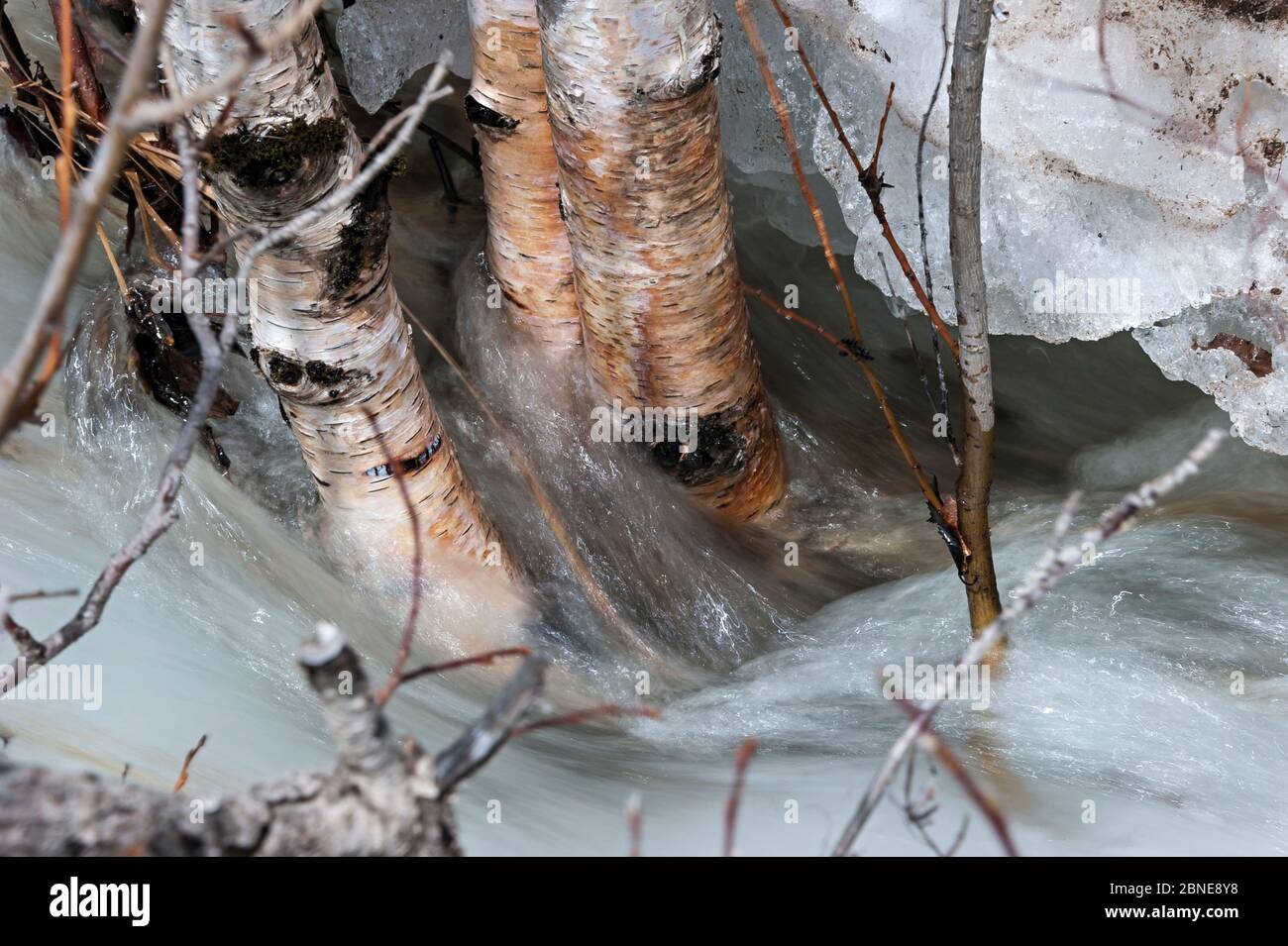 Melt water streams hi-res stock photography and images - Alamy