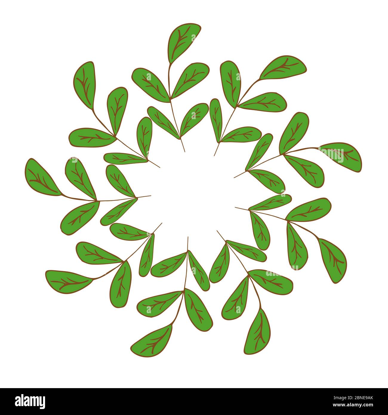Frame of green twigs for highlights on a white background vector ...