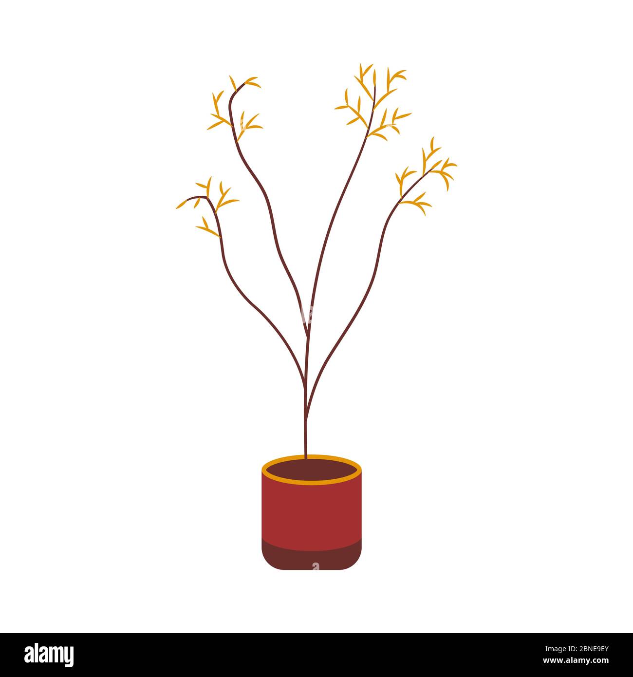 Potted plant, decorative tree with long twigs. Single flat illustration ...