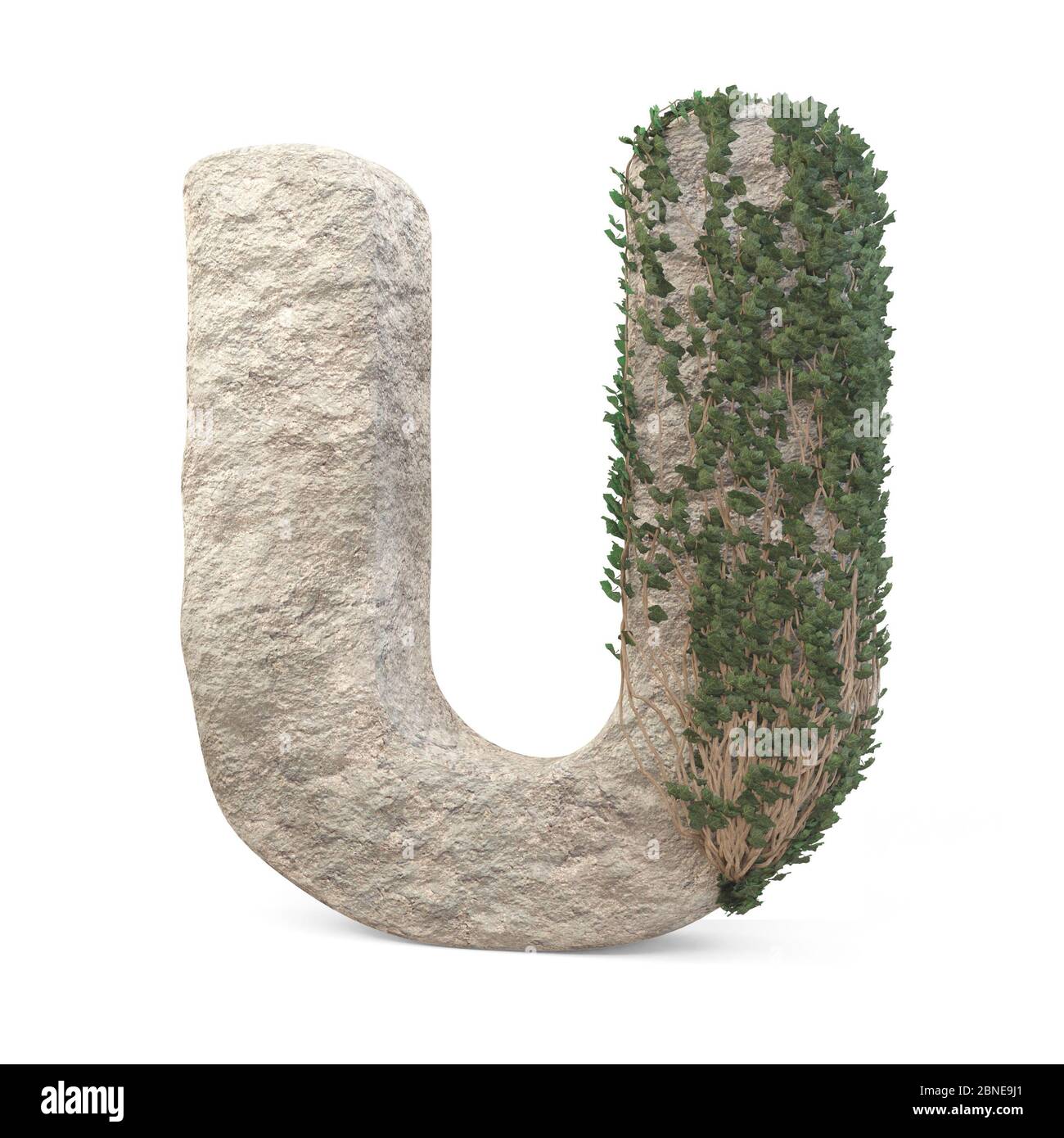 Realistic stone letters with ivy, isolated on a white background. 3d ...