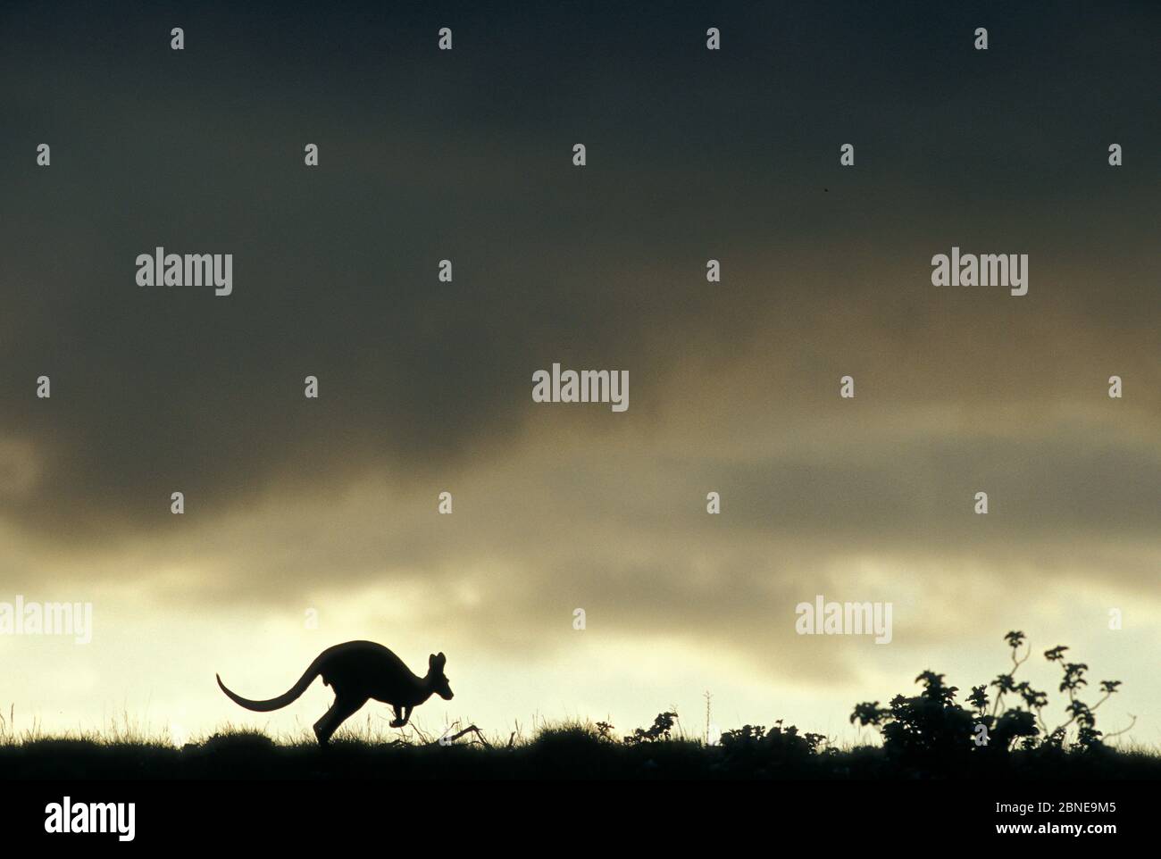 Barrow island australia hi-res stock photography and images - Alamy