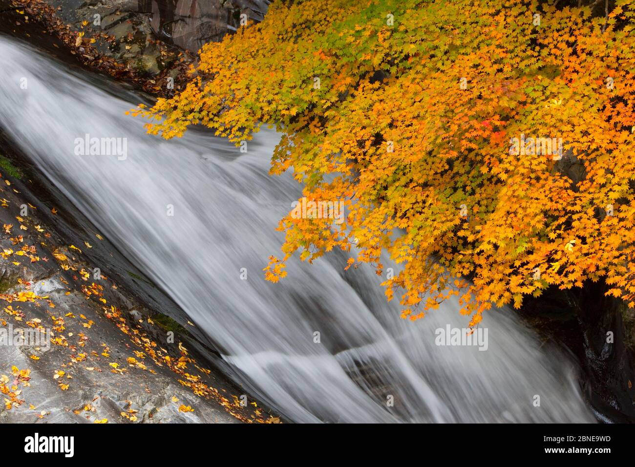 Yoshino kumano national park hi-res stock photography and images - Alamy