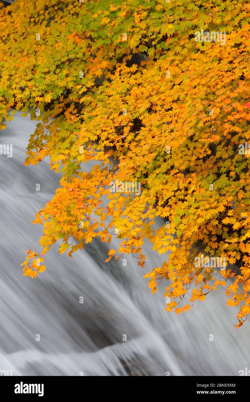 Mitarai valley hi-res stock photography and images - Alamy