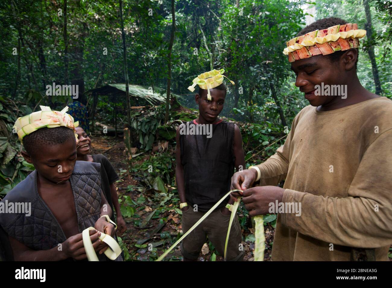 Baka man with three boys making plant fiber crowns for a night ceremony ...