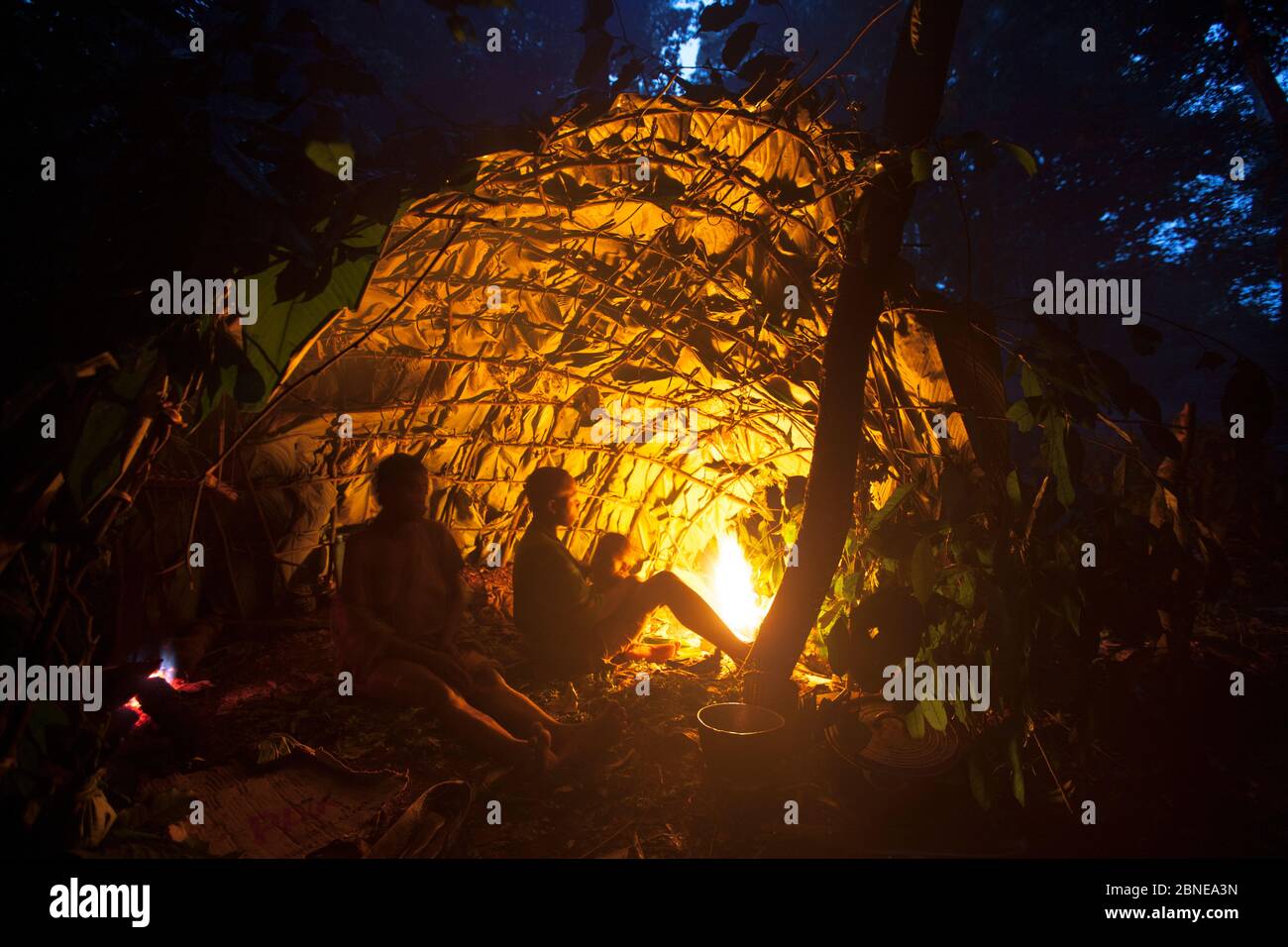 Baka people in hunting camp hut at night, South East Cameroon, July ...