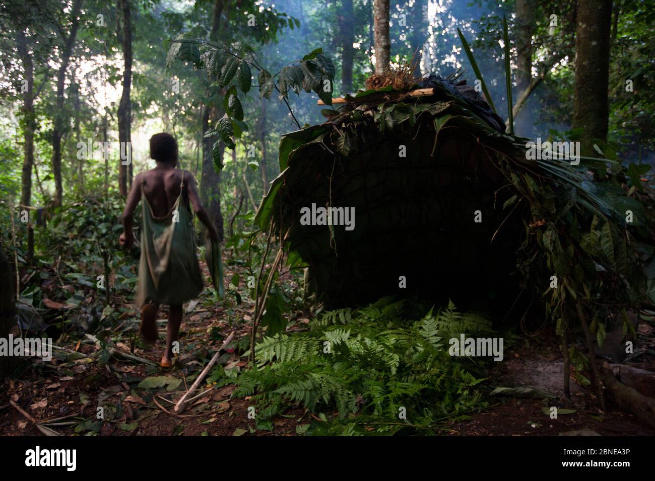 Cameroon Huts High Resolution Stock Photography and Images - Alamy