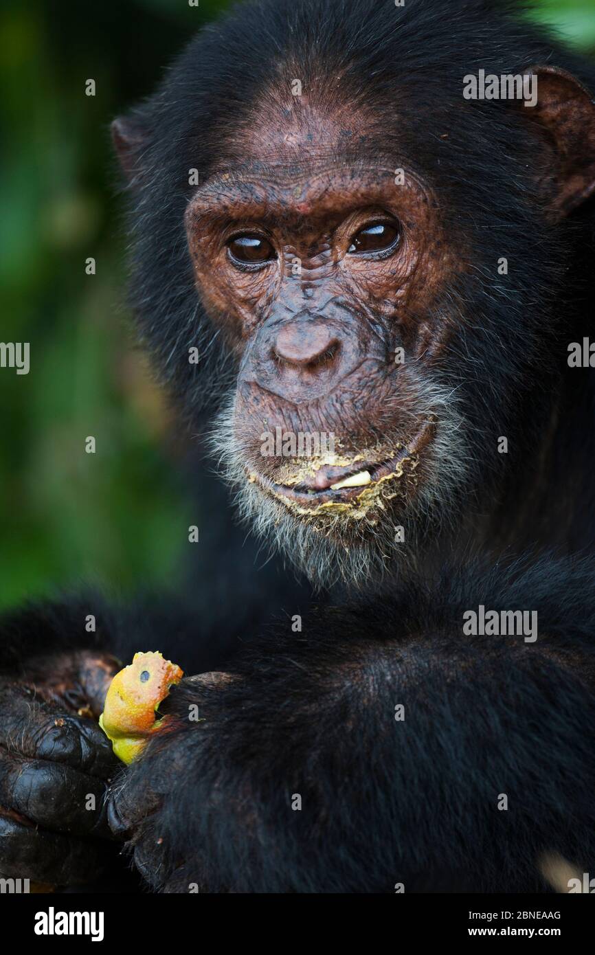 Eating mango hi-res stock photography and images - Alamy