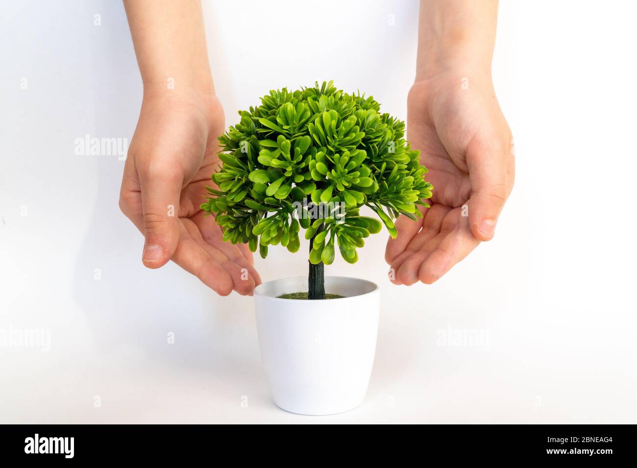 Childs hands protect tree hi-res stock photography and images - Alamy