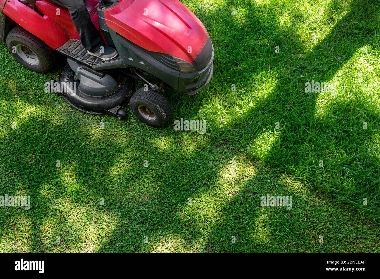 Top down above view of professional lawn mower worker cutting fresh ...